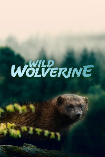 Wild Wolverine (2020): Where to Watch and Stream Online | Reelgood