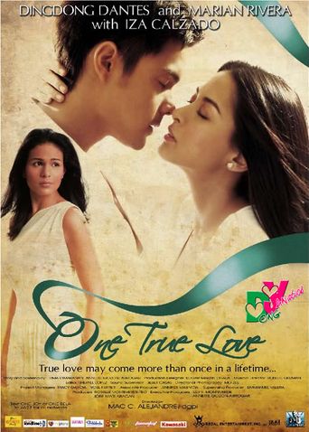 One True Love (2008): Where to Watch and Stream Online | Reelgood