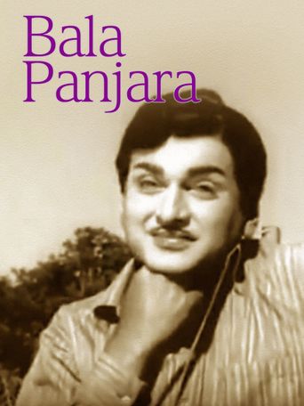 Bala Panjara: Where to Watch and Stream Online | Reelgood