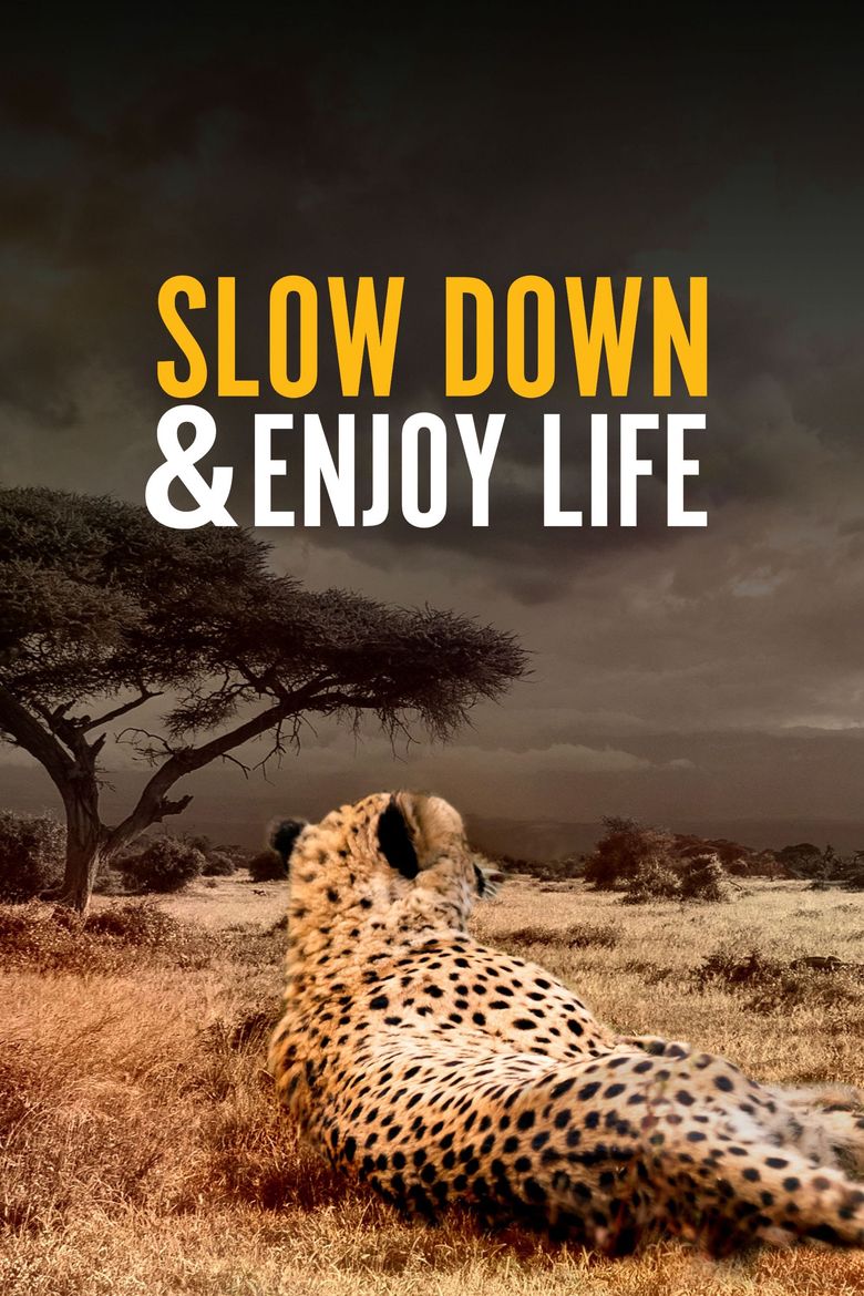 Slow Down and Enjoy Life - Where to Watch It Streaming Online Available ...