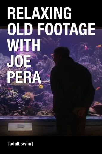 Relaxing Old Footage with Joe Pera (2020): Where to Watch and Stream ...