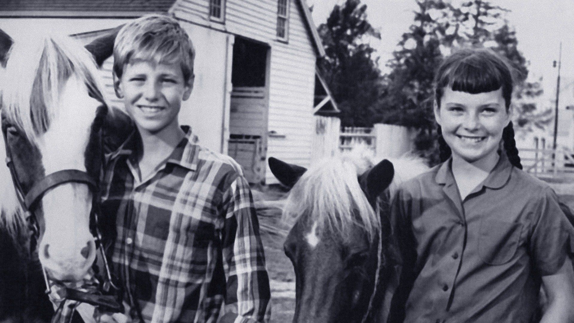 Misty (1961) - Watch on The Criterion Channel, Hoopla, Up Faith Family ...