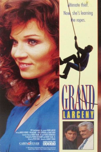 Grand Larceny (1987): Where to Watch and Stream Online | Reelgood
