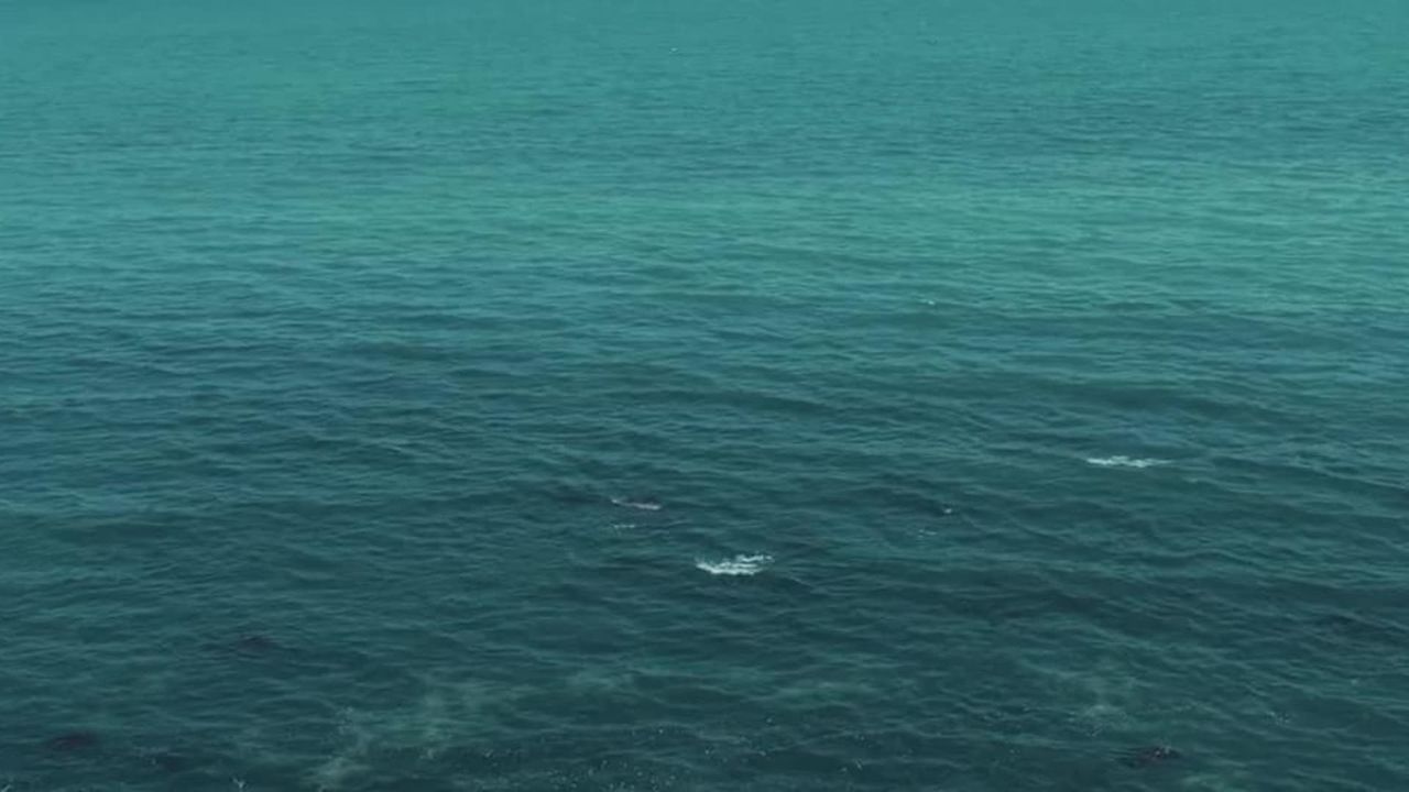 The Fourth Sunrise (2022): Where to Watch and Stream Online | Reelgood