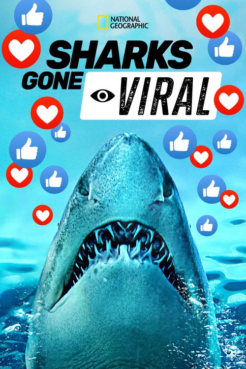 Sharks Gone Viral (2024): Where to Watch and Stream Online | Reelgood