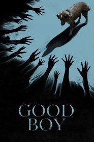 Good Boy (2023): Where to Watch and Stream Online | Reelgood