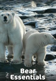 Bear Essentials: Where to Watch and Stream Online | Reelgood