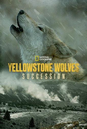 Yellowstone Wolves: Succession (2025): Where to Watch and Stream Online ...