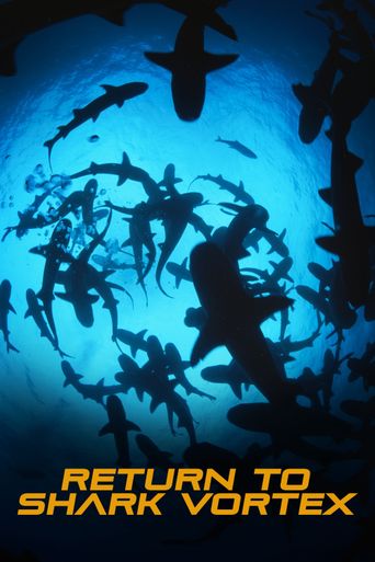 Return to Shark Vortex (2021): Where to Watch and Stream Online | Reelgood