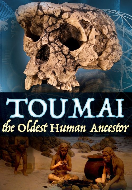 Toumai: The Oldest Human Ancestor: User Lists | Reelgood