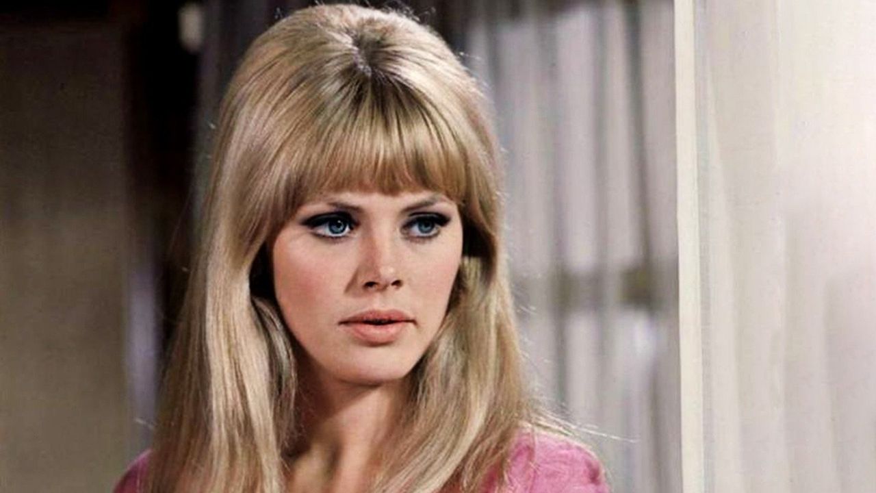 The Bobo (1967): Where to Watch and Stream Online | Reelgood