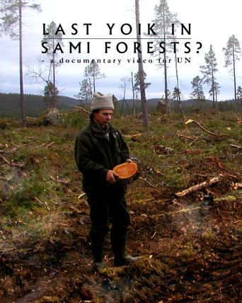 Last Yoik in Saami Forests? (2006): Where to Watch and Stream Online ...