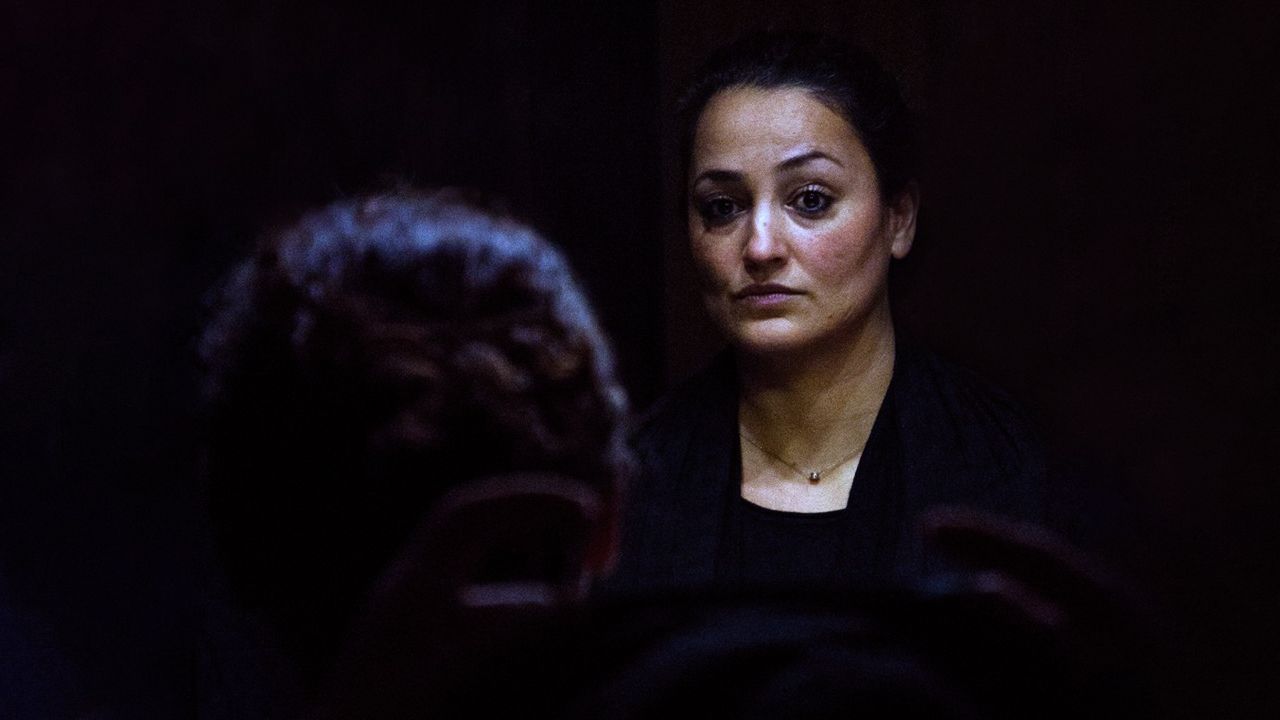 Finding Farideh (2019): Where to Watch and Stream Online | Reelgood