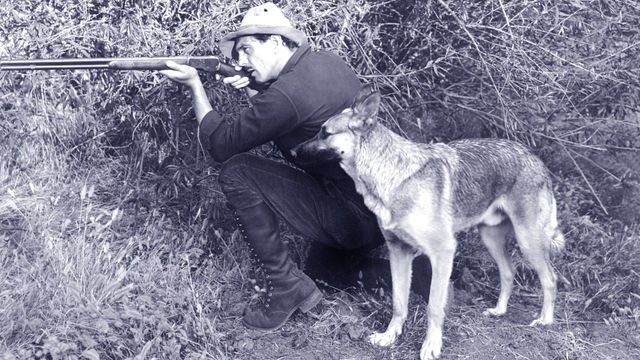 Trailing the Killer (1932): Where to Watch and Stream Online | Reelgood