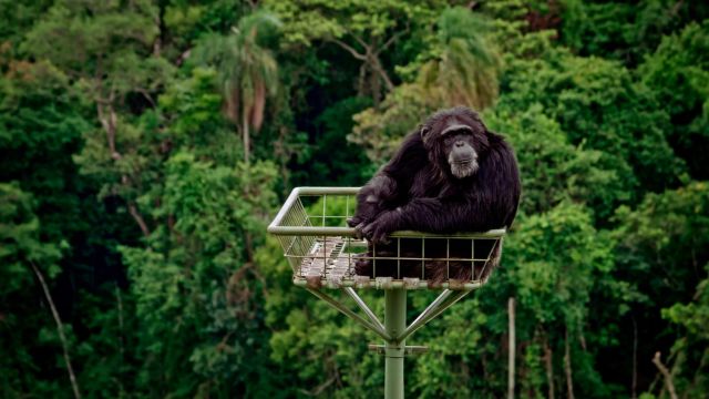 Persona (no) humana (2023): Where to Watch and Stream Online | Reelgood