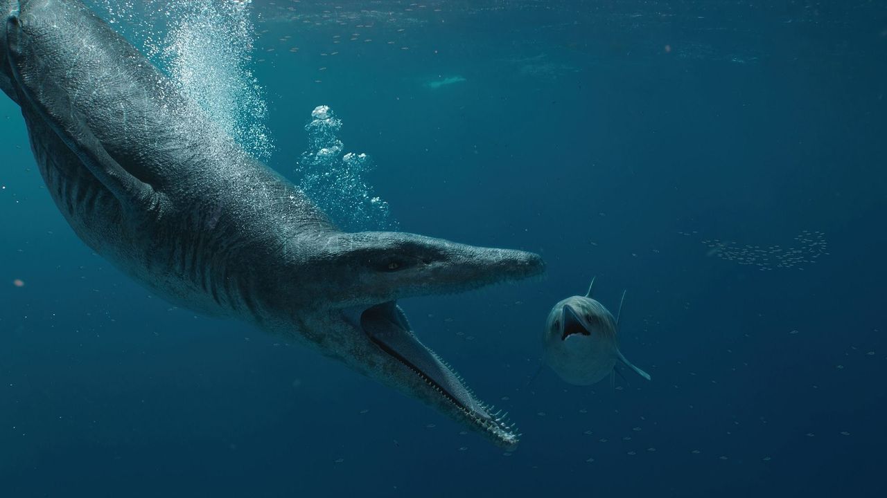 Attenborough and the Giant Sea Monster: Where to Watch and Stream ...