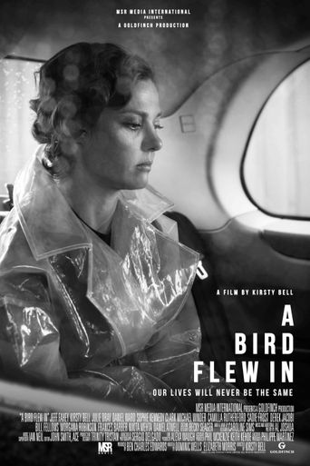A Bird Flew In (2022): Where to Watch and Stream Online | Reelgood
