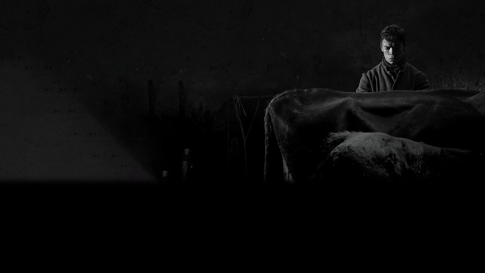 Bainne (2019) - Where to Watch It Streaming Online | Reelgood