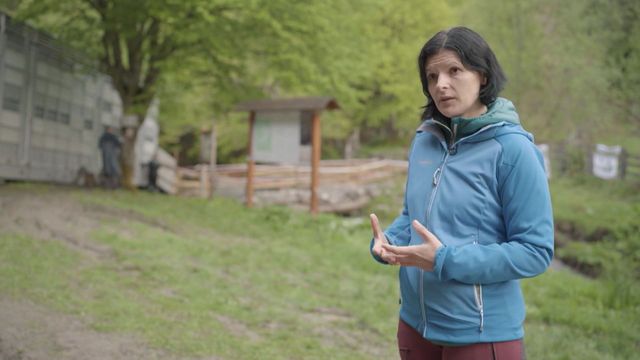 Rewilding: Zurück zur Natur (2023): Where to Watch and Stream Online ...