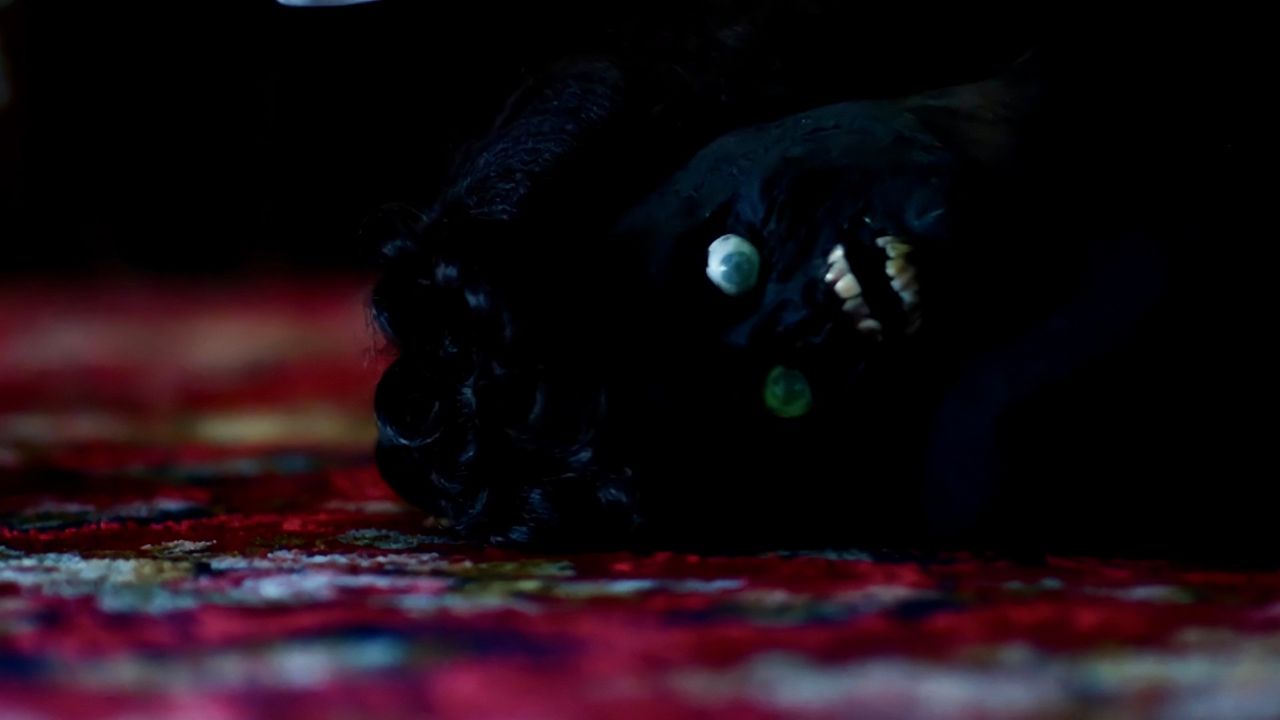 Urban Horror Series (2021): Where to Watch and Stream Online | Reelgood