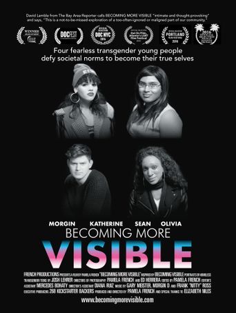 Becoming More Visible (2015): Where to Watch and Stream Online | Reelgood