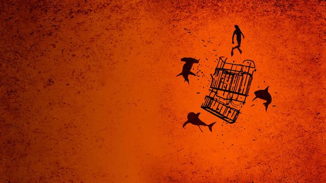 Deadliest Bite Force 2024 Where To Watch And Stream Online Reelgood