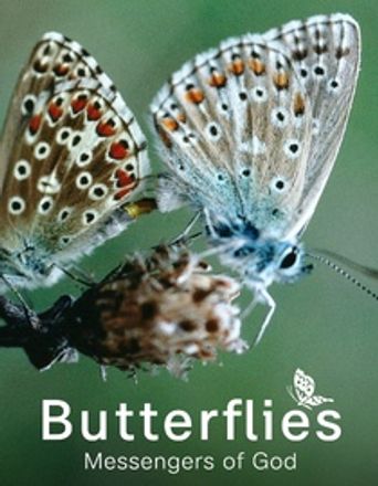 Butterflies - Messengers of God: Where to Watch and Stream Online ...