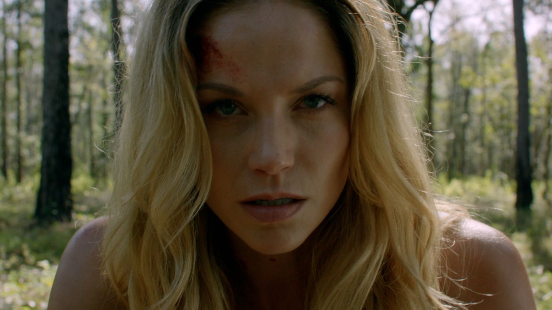 Army of One (2020) - Watch on Tubi, Vudu, Freevee, The Roku Channel ...