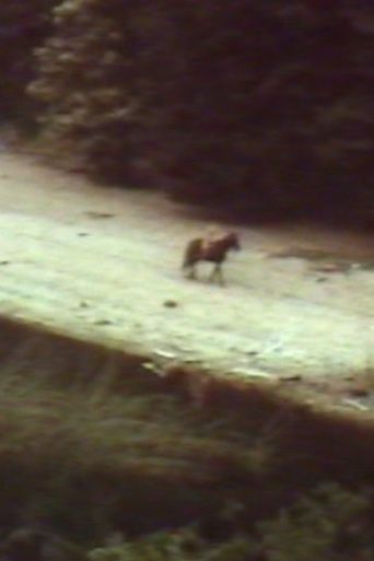 ALEPH (2005): Where to Watch and Stream Online | Reelgood