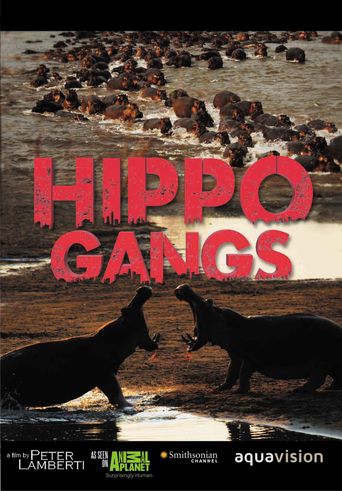 Hippo Gangs (2014): Where to Watch and Stream Online | Reelgood