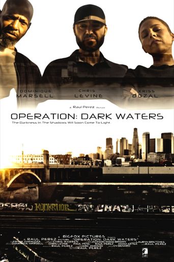 Operation: Dark Waters: Where to Watch and Stream Online | Reelgood