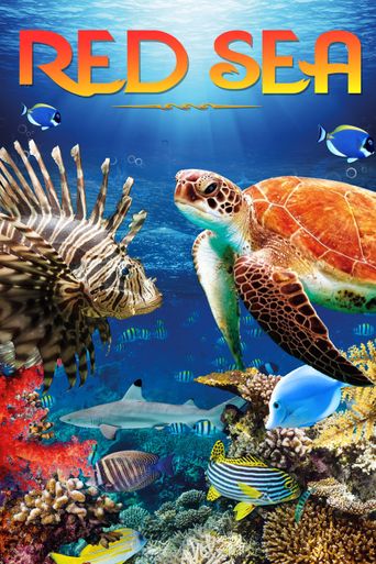 Red Sea (2016): Where to Watch and Stream Online | Reelgood