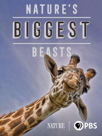 Nature's Biggest Beasts (2018): Where to Watch and Stream Online | Reelgood