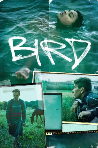 Bird (2024): Where to Watch and Stream Online | Reelgood