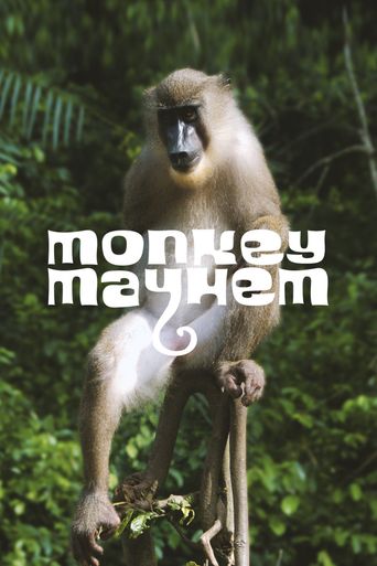 Monkey Mayhem: Where to Watch and Stream Online | Reelgood