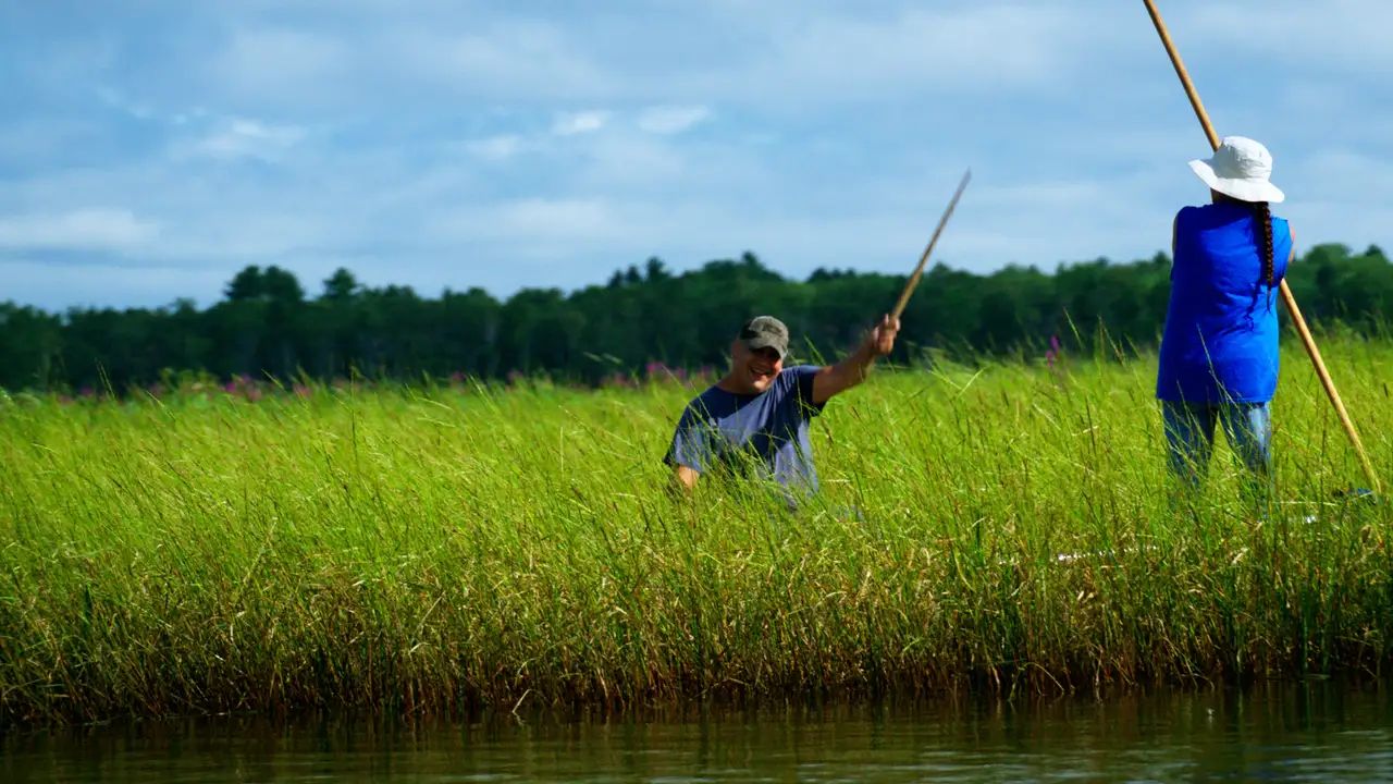 Family Secrets: The Disappearance of Alissa Turney (2024): Where to ...
