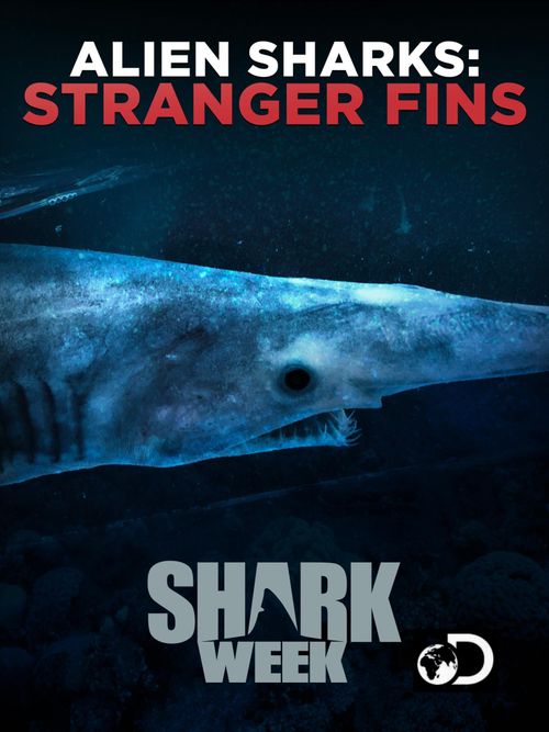 Alien Sharks: Greatest Hits: User Lists | Reelgood
