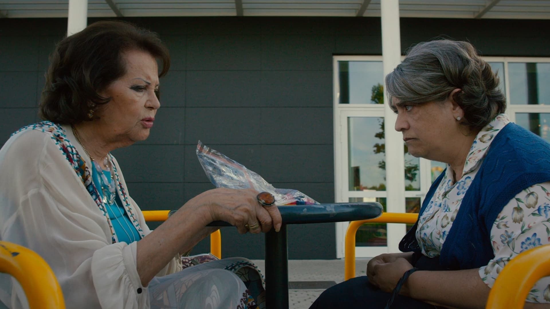 Nonnas on the Run: Where to Watch and Stream Online | Reelgood