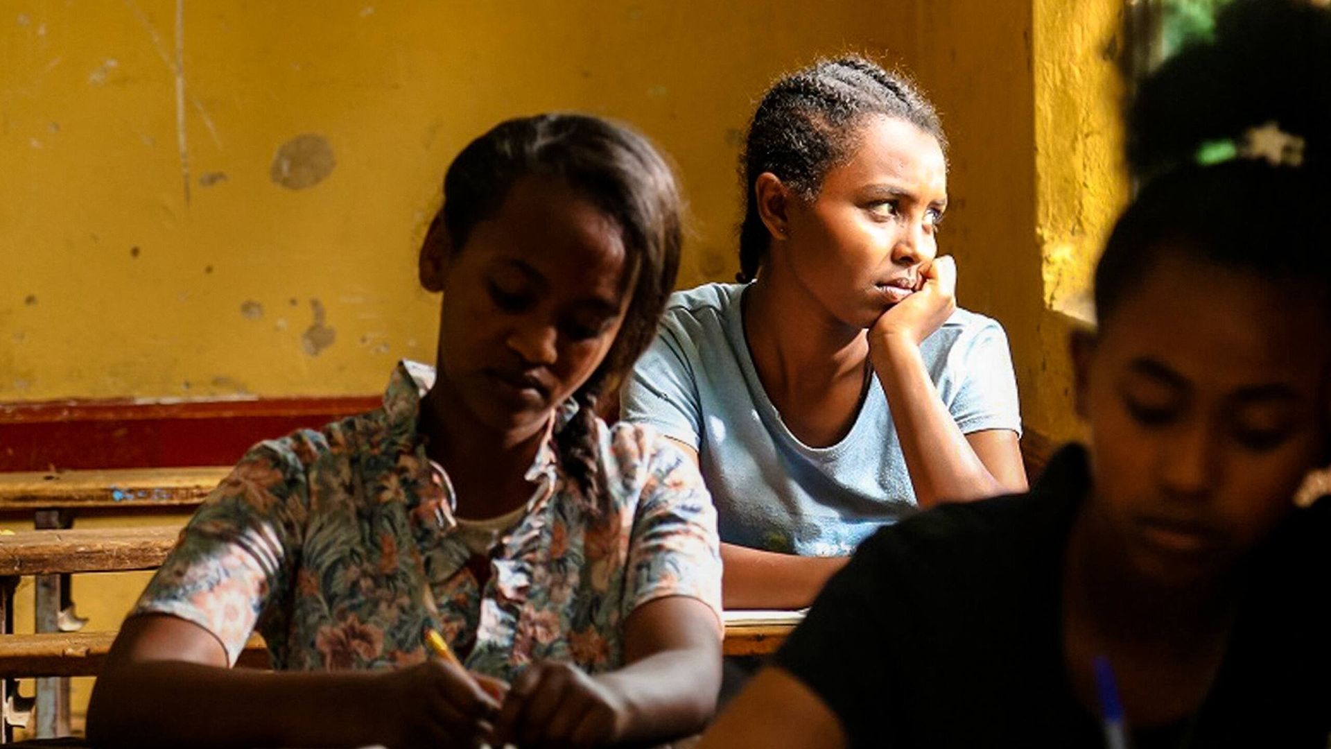 Fig Tree (2018) - Watch on Kanopy, Tubi, and Streaming Online | Reelgood