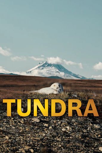 Tundra: Where to Watch and Stream Online | Reelgood