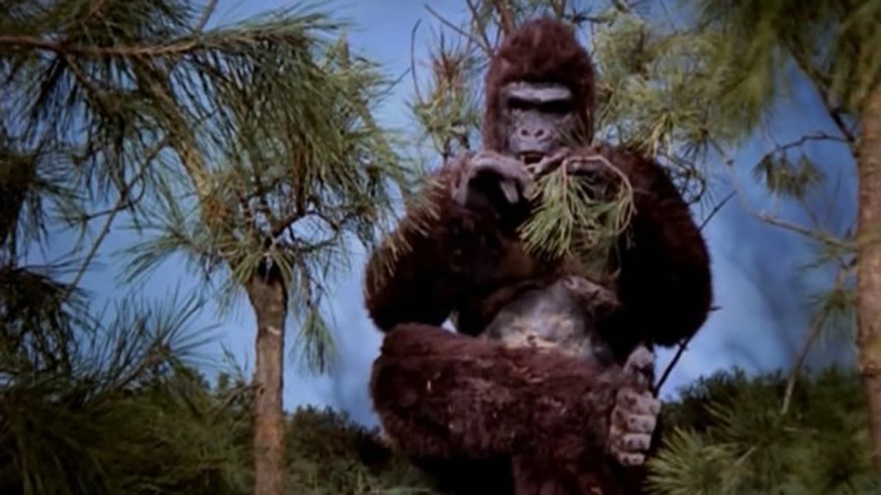 Ape (1976): Where to Watch and Stream Online | Reelgood