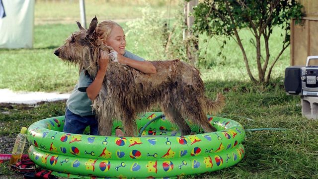 Because of Winn-Dixie (2005): Where to Watch and Stream Online | Reelgood