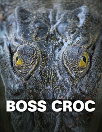 Boss Croc: Where to Watch and Stream Online | Reelgood