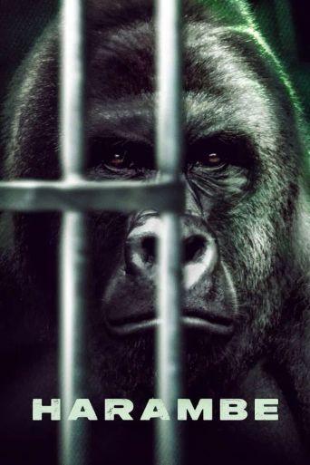 Harambe (2023): Where to Watch and Stream Online | Reelgood