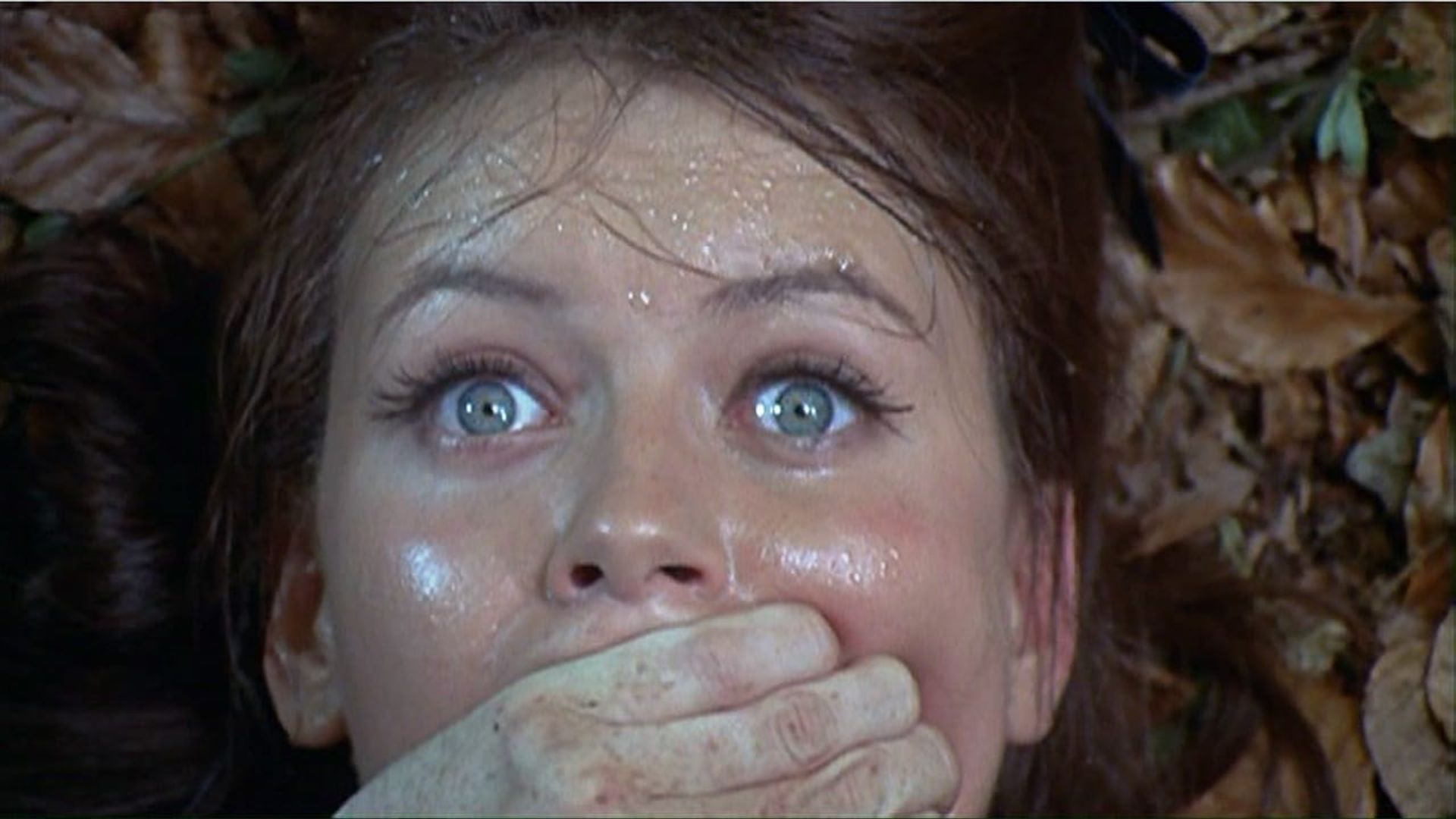 Assault (1971) - Where to Watch It Streaming Online | Reelgood