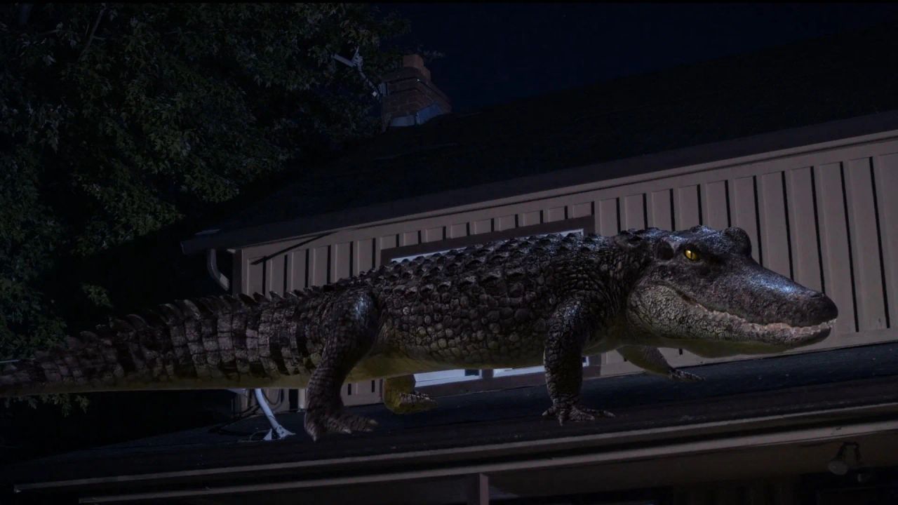 Bad CGI Gator (2023): Where to Watch and Stream Online | Reelgood