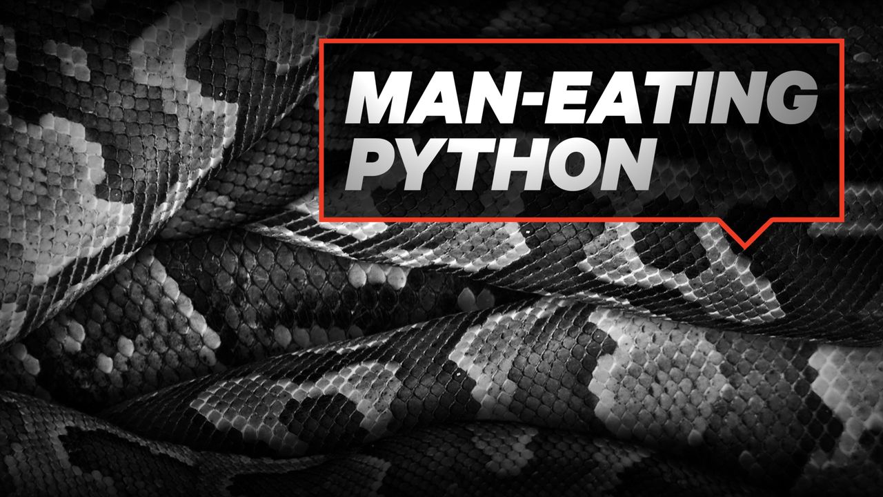Man-Eating Python (2017): Where to Watch and Stream Online | Reelgood