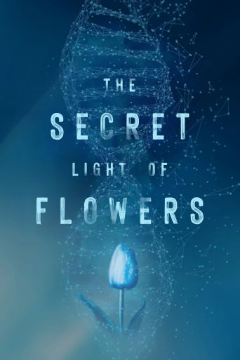 The Secret Light of Flowers (2024): Where to Watch and Stream Online ...