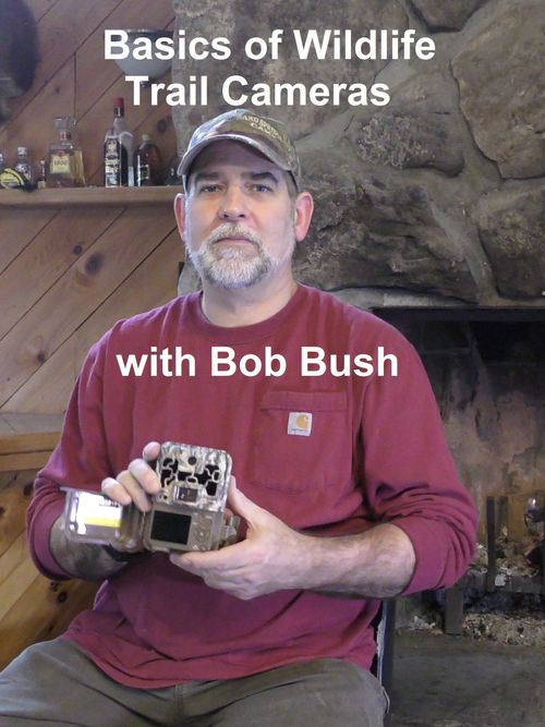 Basics of Wildlife Trail Cameras with Bob Bush: User Lists | Reelgood