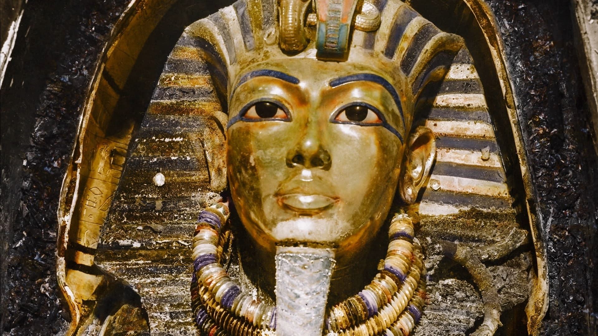 King Tut In Color (2021) - Watch on Disney+ or Streaming Online | Reelgood